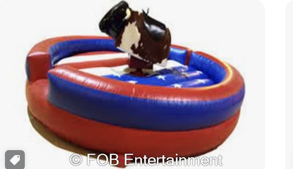 Rodeo Bull Hire - Add a Wild Ride to Your Party or Event