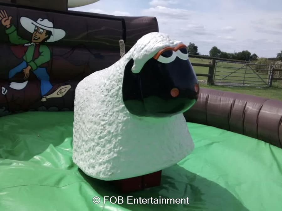 Rodeo Sheep Hire - EVENT ENTERTAINMENT HIRE COMPANY Nationwide And ...